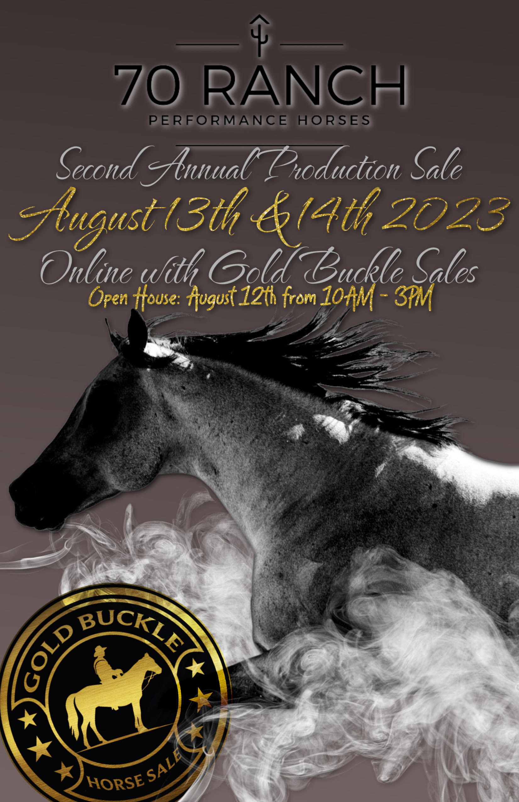 Professional Online Horse Auction | Horses for Sale - Gold Buckle Horse ...
